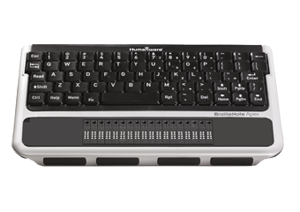 ITG Accessibility Products - Assistive Technology for Blind and Low ...